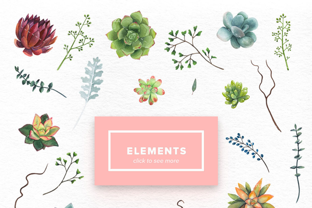 Watercolor Succulents Set, an Object Graphic by Kotulska | Creative Market