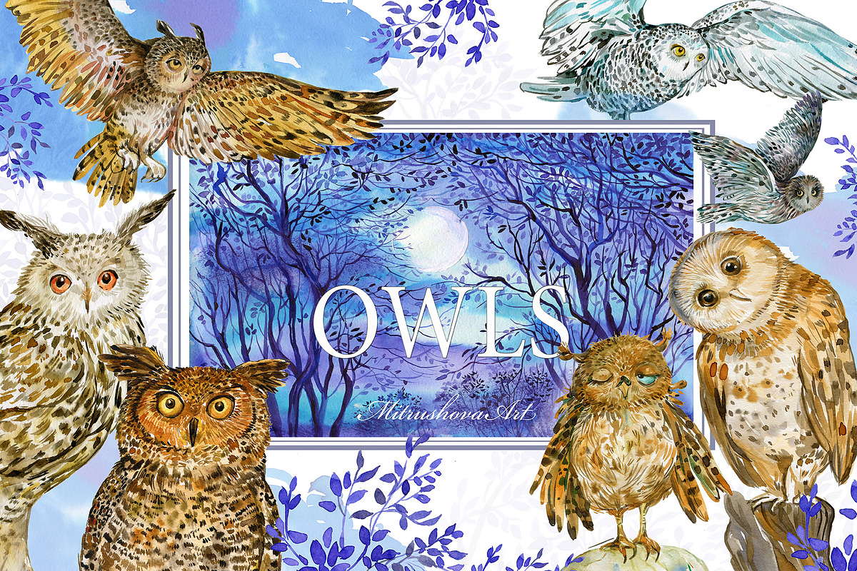 Owls Watercolor clipart Illustration, an Animal Illustration by ...