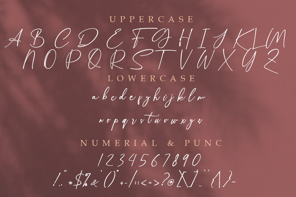 Kaitlyn - Handwritten Font, a Script Font by Mayofont | Creative Market