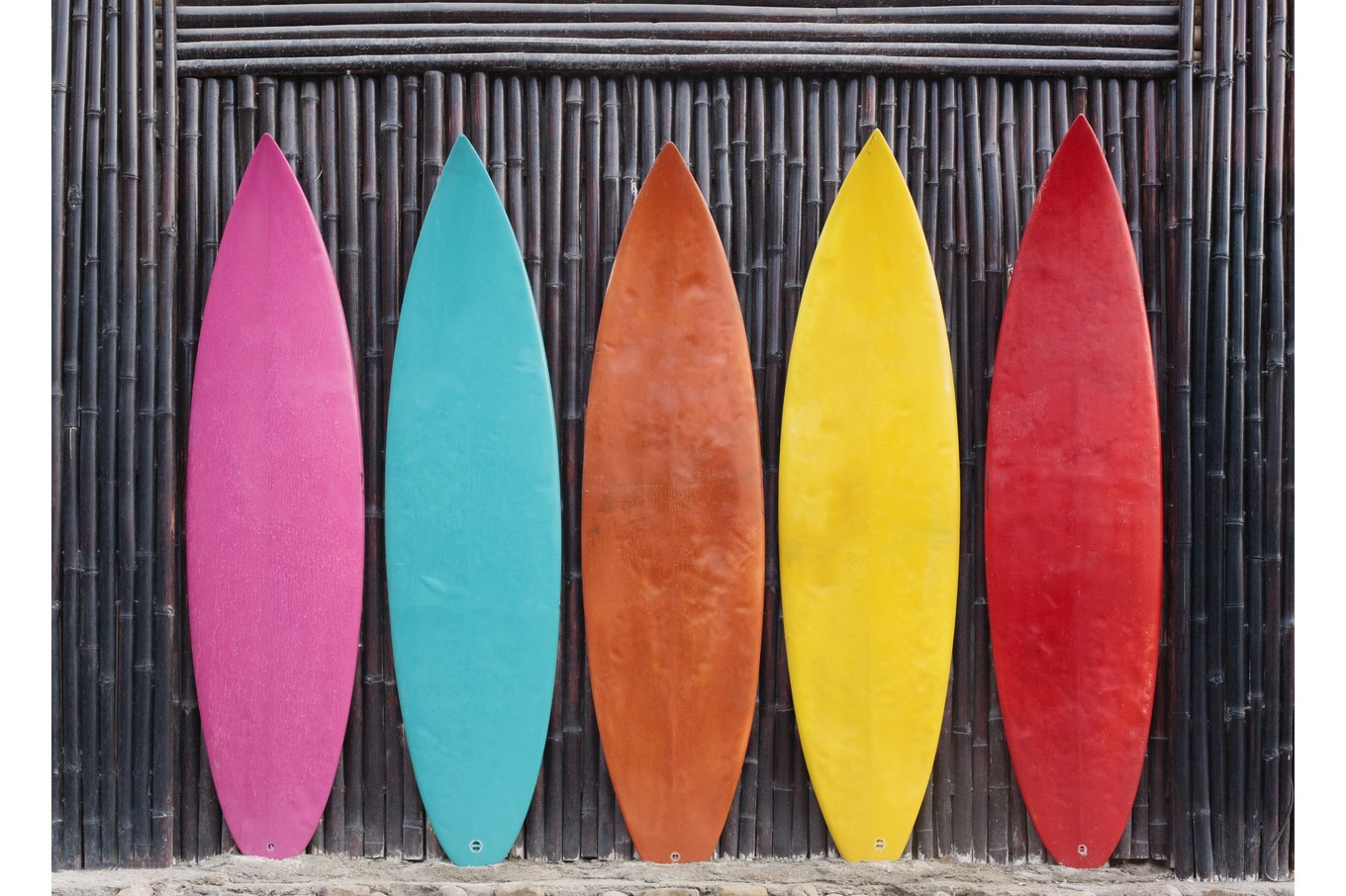 Colored surfboards leaning up against a wooden fence featuring ...