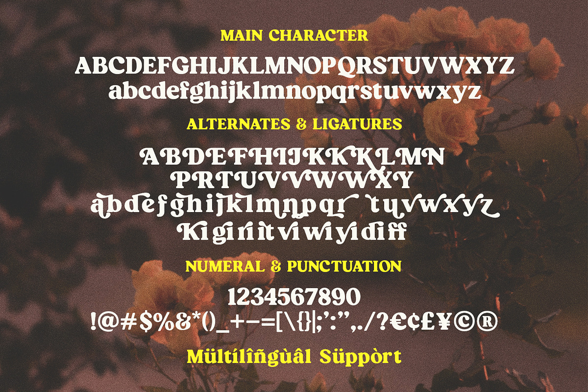 Magical Night - Retro Serif, a Serif Font by Viswell