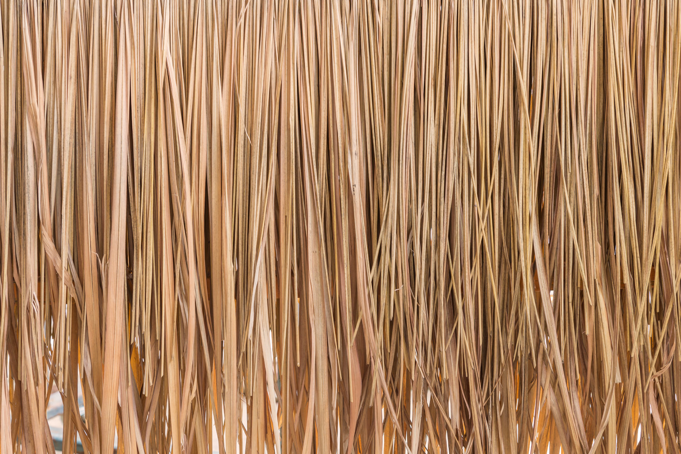Thatch roof background containing cottage, textural, and thatch, a ...