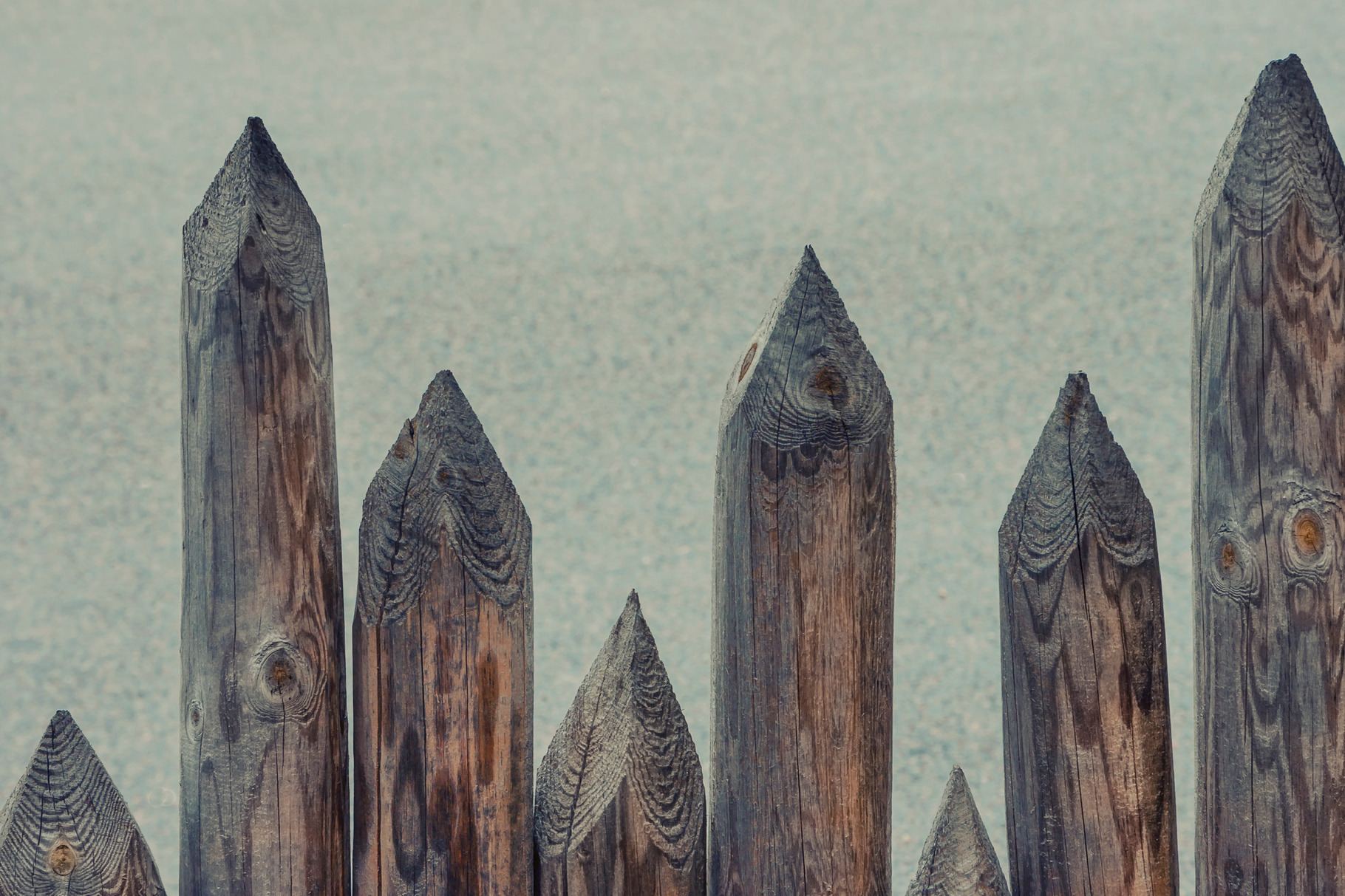 Palisade of logs, a Nature Photo by SergeKa | Creative Market