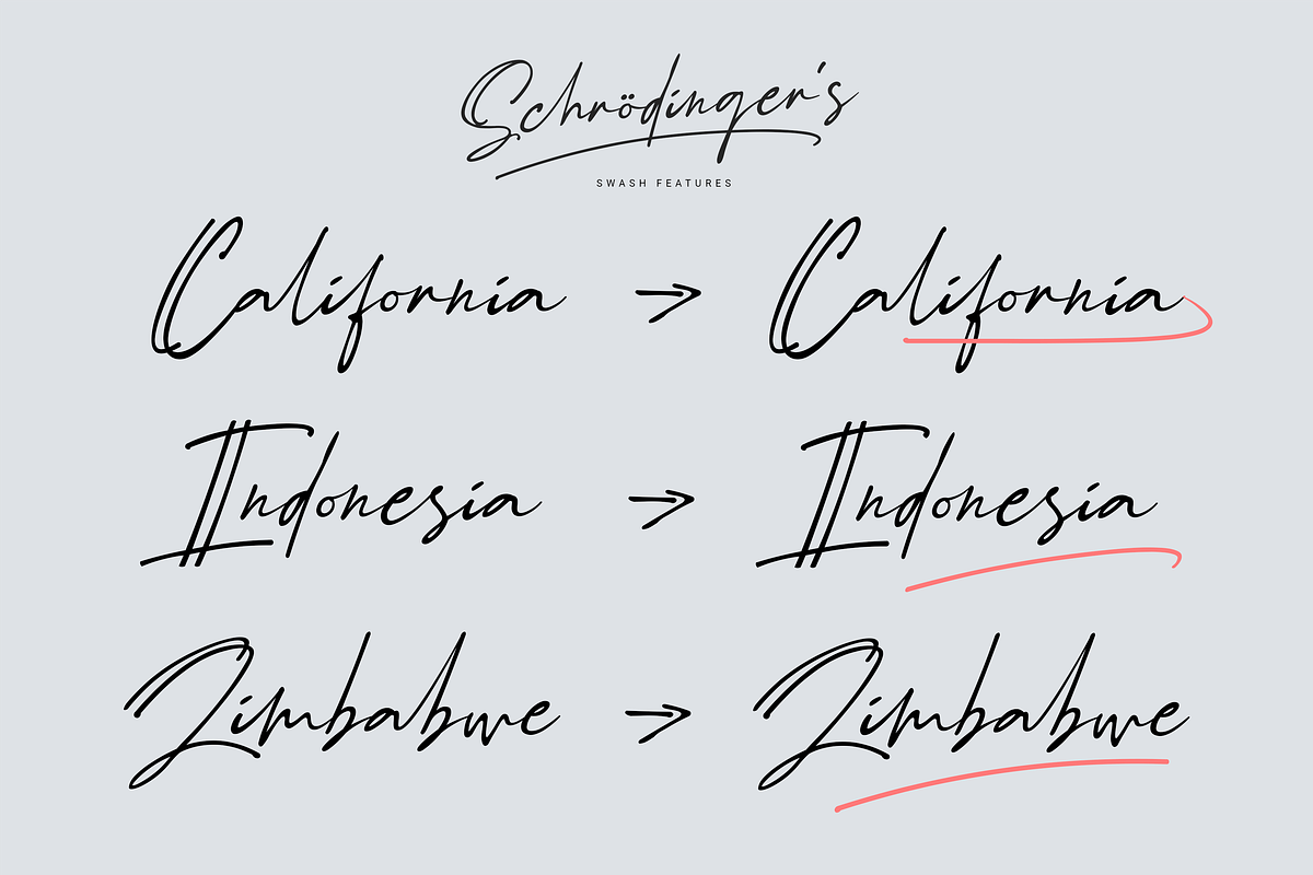 Schrödinger's | Signature Font, a Script Font by Ardana Creative