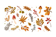Autumn leaves and mushrooms set, a Seasonal Illustration by Good Studio