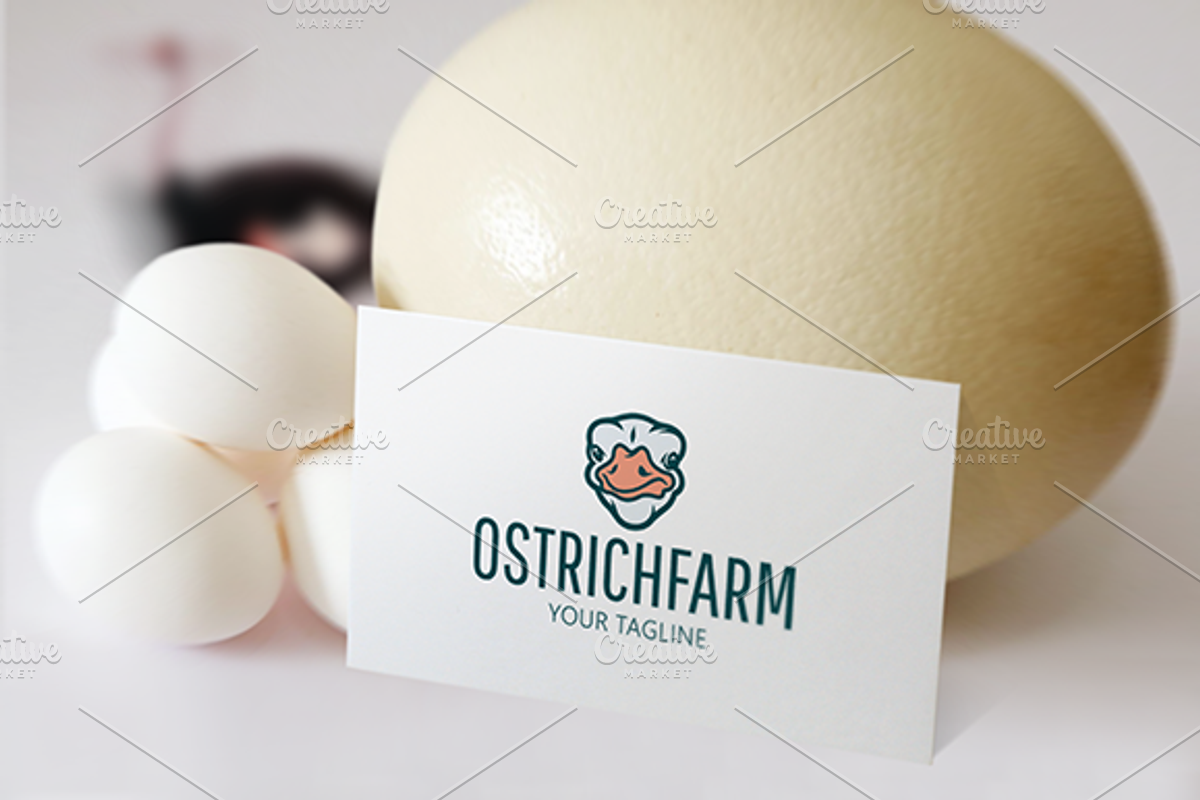 Ostrich Farm, a Branding & Logo Template by Steinar Logo