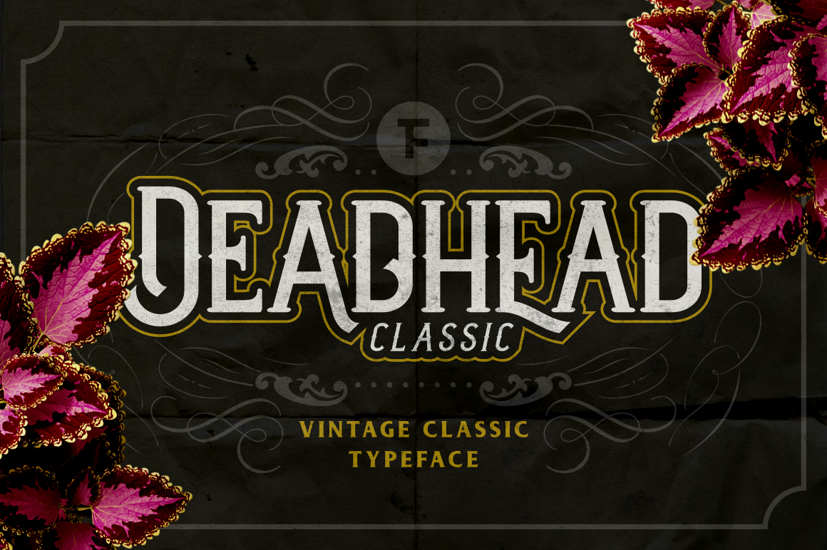Deadhead Classic, a Serif Font by Twicolabs Fontdation