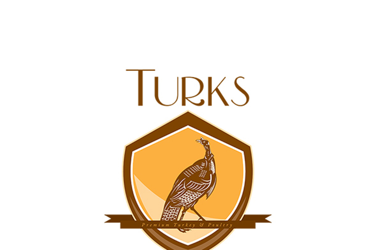 Turks Premium Turkey Logo, a Branding & Logo Template by patrimonio