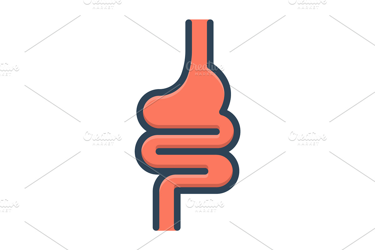 Intestine appendix icon, an Icon by Creative priyanka | Creative Market