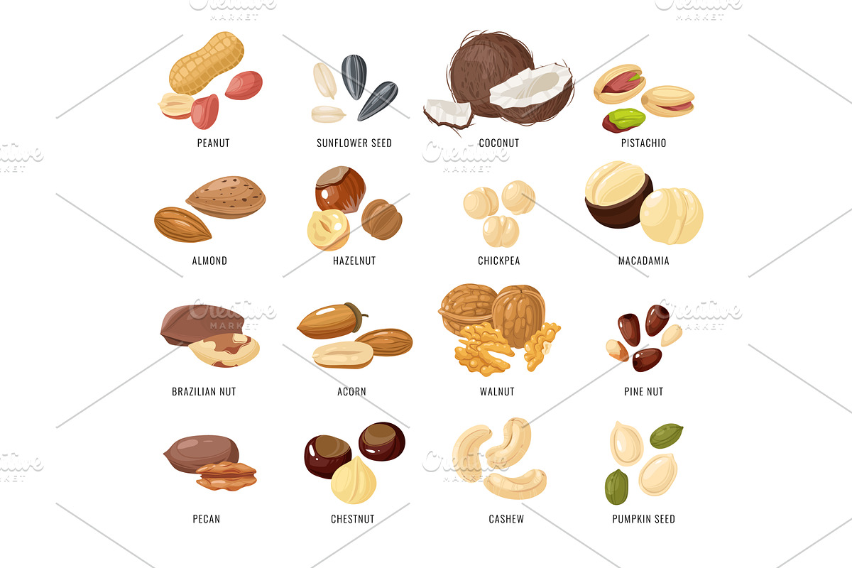 Nuts and seeds. Nut and seed in, a Food Illustration by YummyBuum