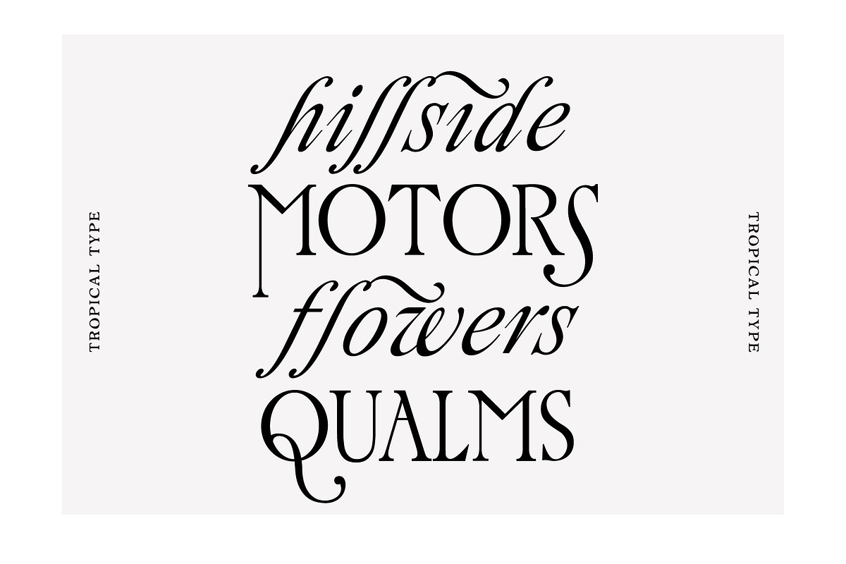Palace Serif Typeface, a Serif Font by Tropical Type