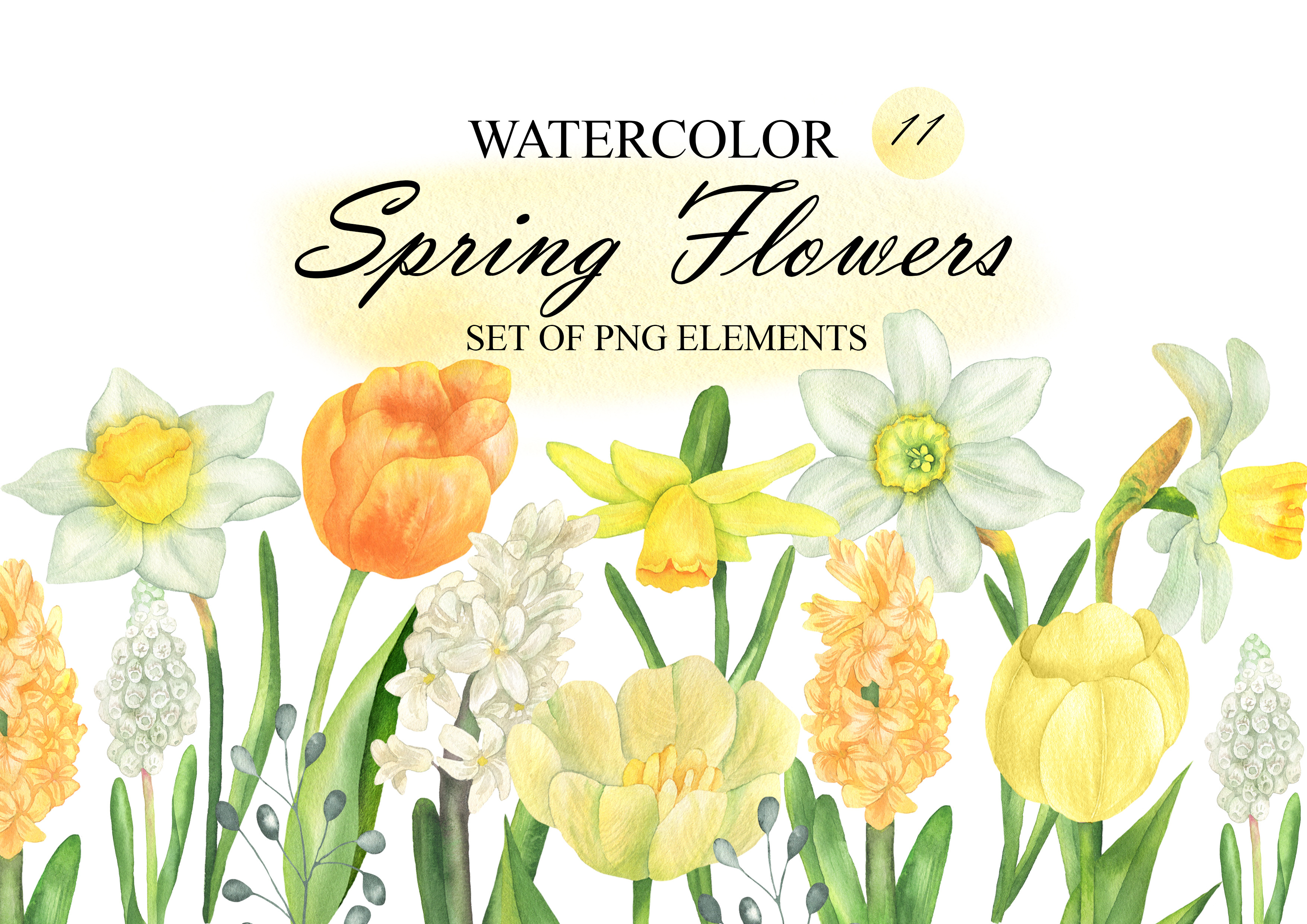 Spring flowers Watercolor clipart | Illustrations ~ Creative Market