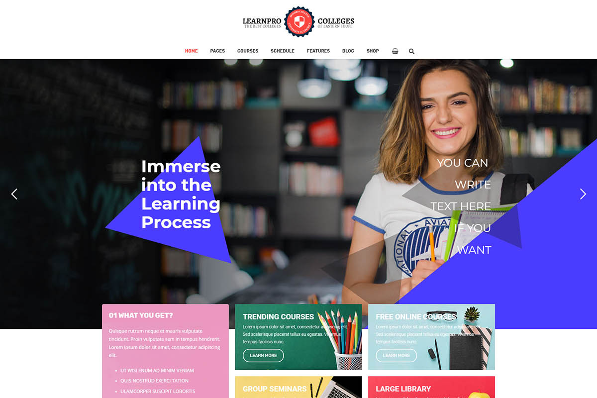Learnpro - Education & Business, a WordPress Template by Cherry ...