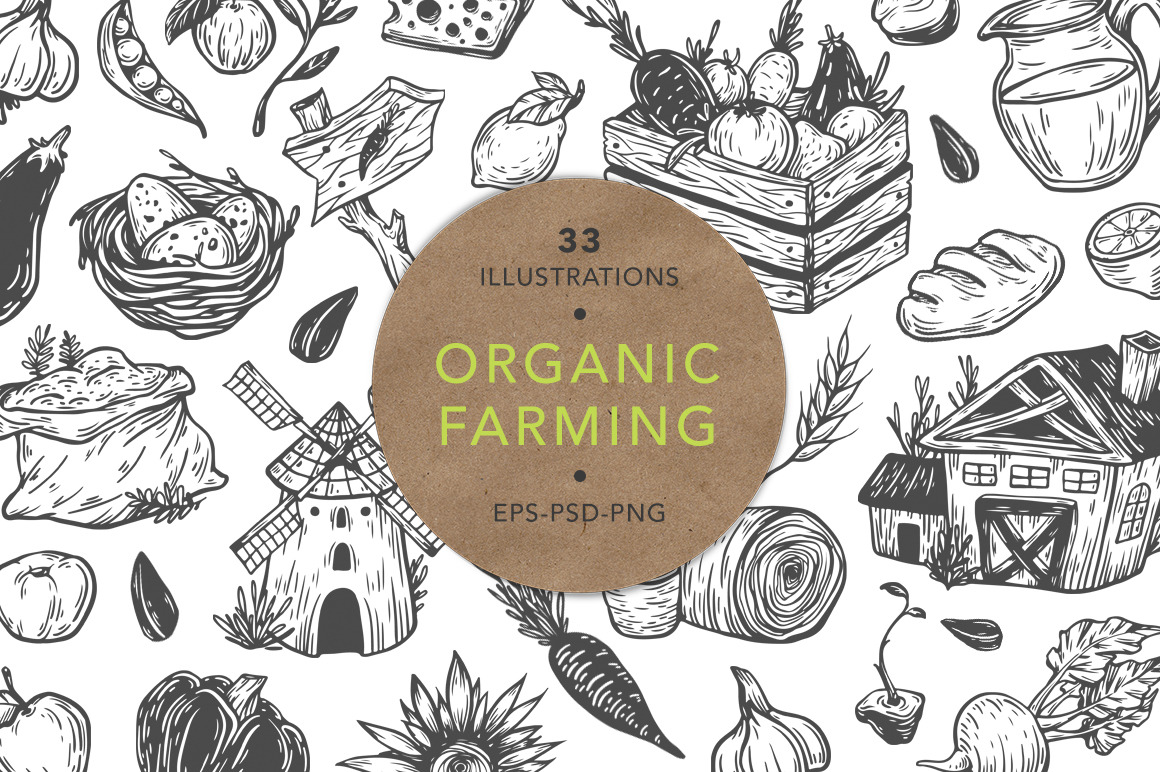 Organic Farming. Fresh market., an Illustration by Olga Olmix