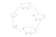 Round Stages of pig growth set. Pork, an Animal Illustration by Vector ...