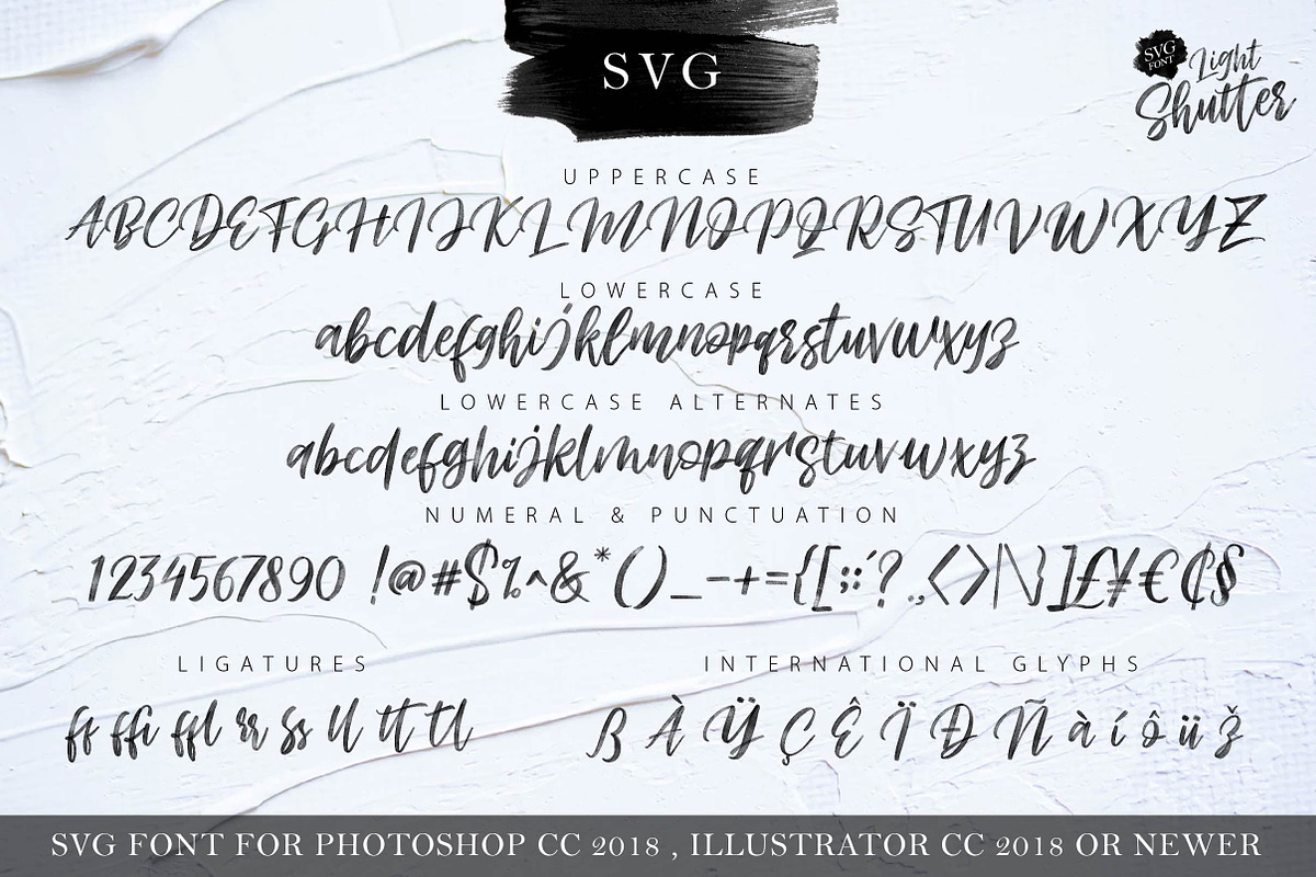 Light Shutter + SVG Font, a Script Font by Olexstudio
