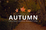 jQuery Autumn Falling Leaves, a Plug-in Add-On by PremiumCoding