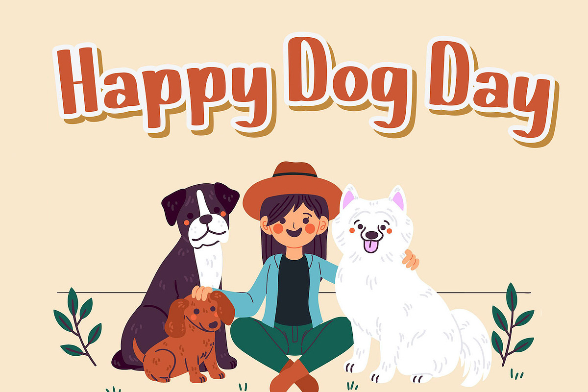 Rox Display - Playful Display Font, a Font by StringLabs