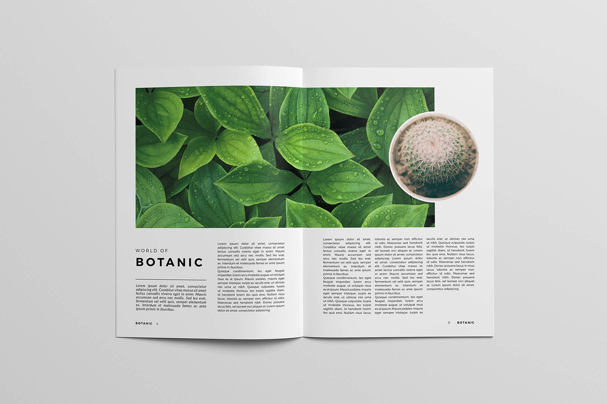 Botanic Magazine, a Magazine Template by New Lines