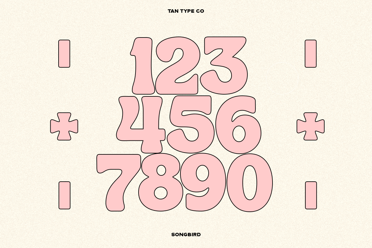 TAN - SONGBIRD, a Font by TanType