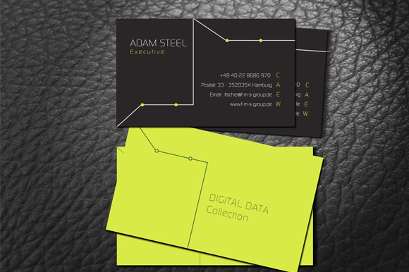 Digital Data Business Card, a Business Card Template by felicidads