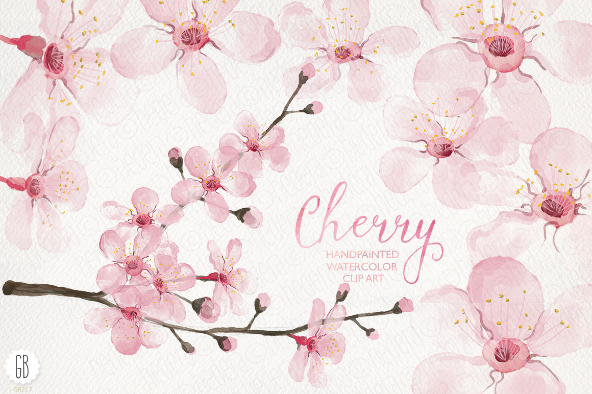 Watercolor cherry blossom, spring, an Illustration by GrafikBoutique