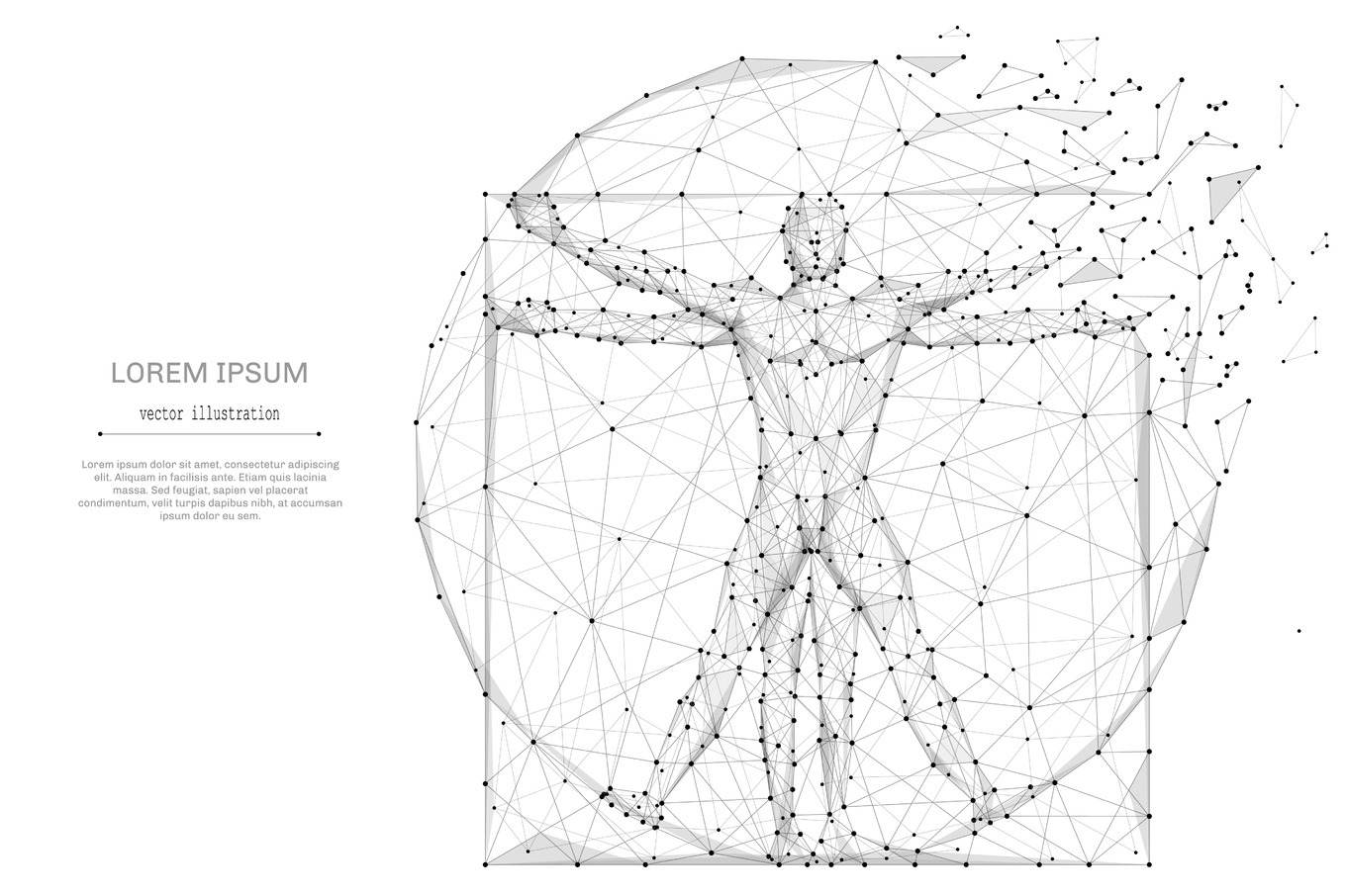 classic proportion man low poly gray | Healthcare Illustrations ...