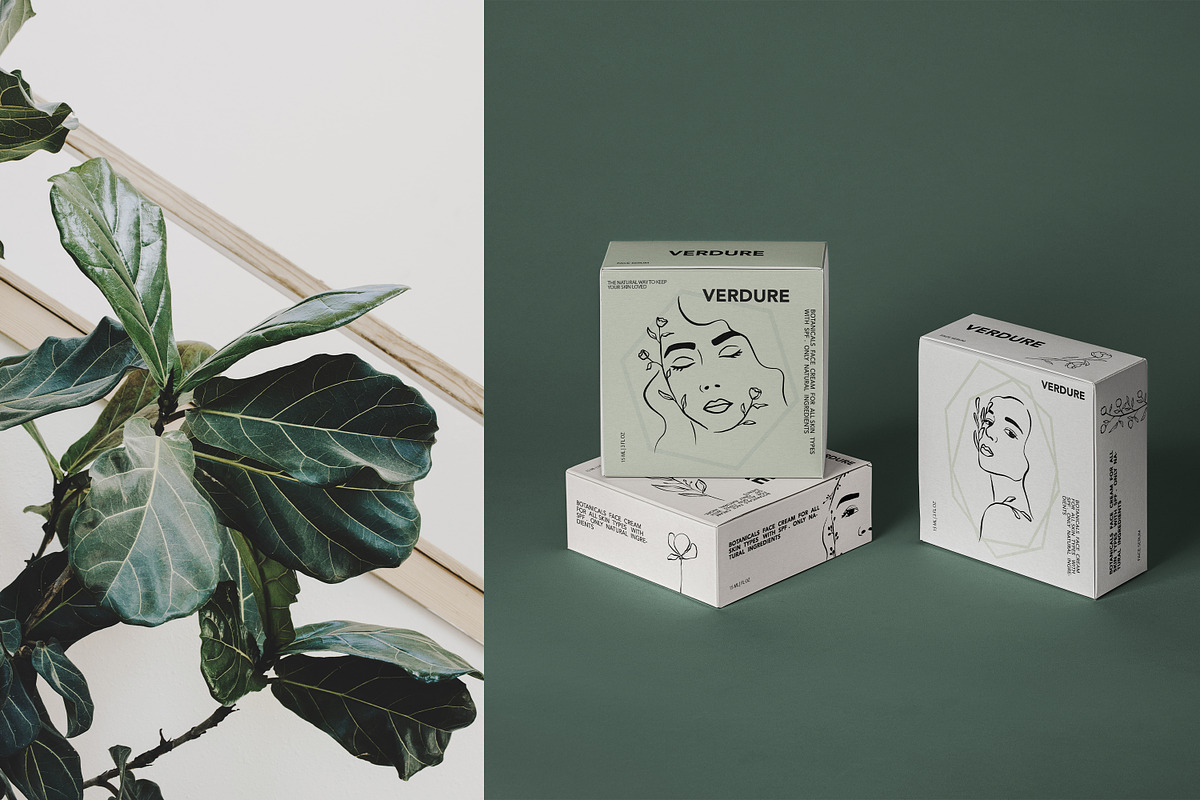 Botanical Line Art Logo, an Illustration by Backyard Rose