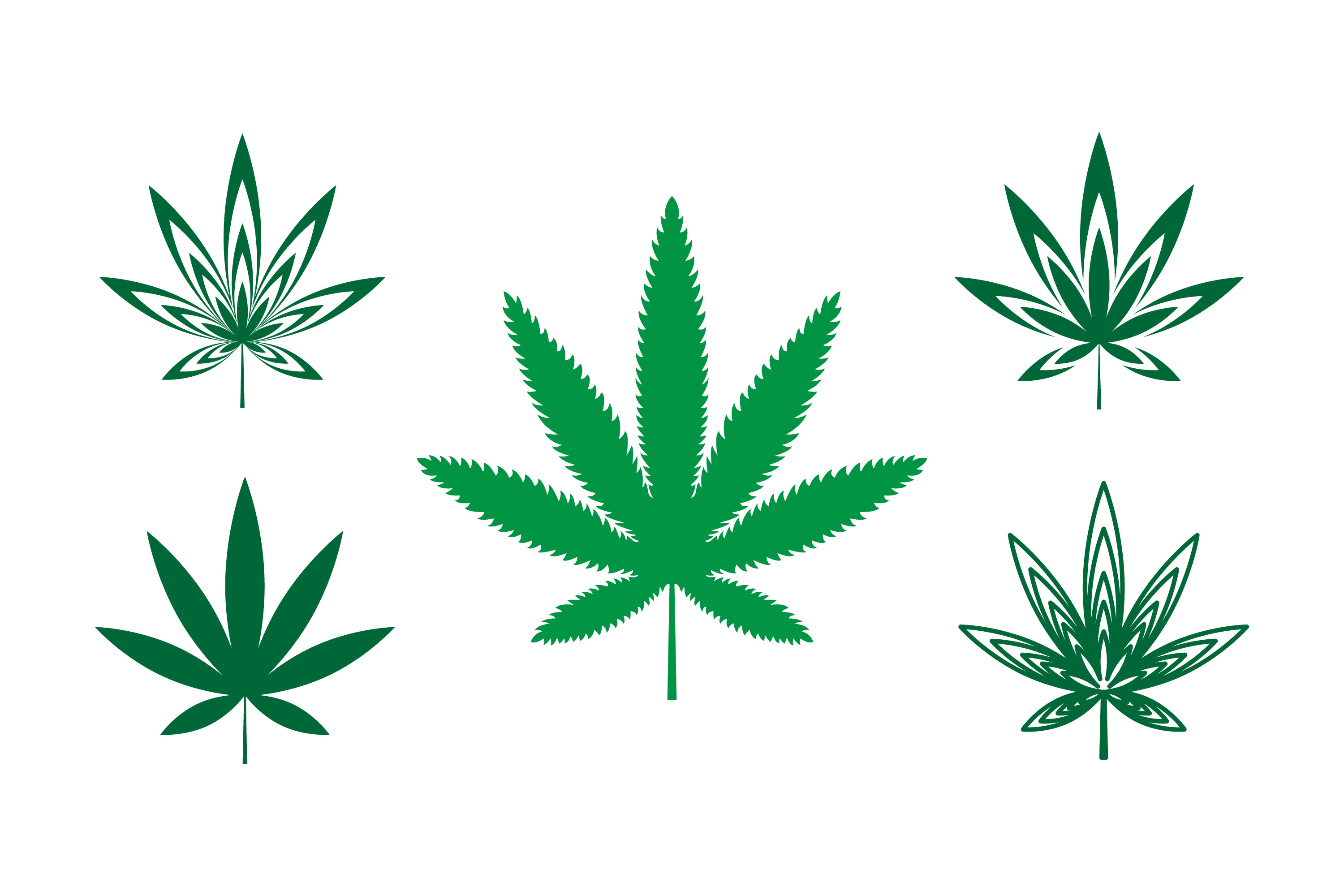 green marijuana leaves, a Solid Icon by Saba Vector