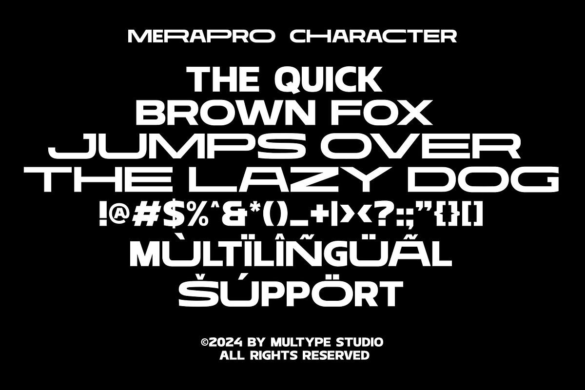 Mera Pro Expanded Variable Sans Font
