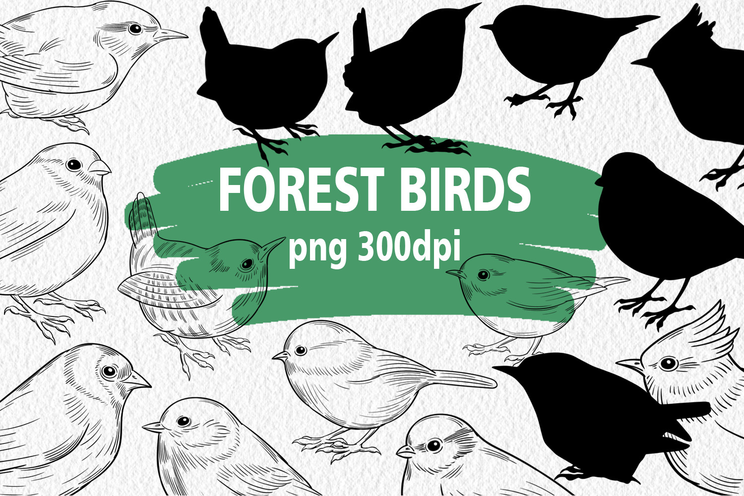 Hand drawn forest birds png, an Object Graphic by ViktoriArt | Creative ...