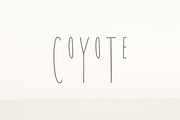 Coyote | A Playful Font, a Sans Serif Font by Josh O.