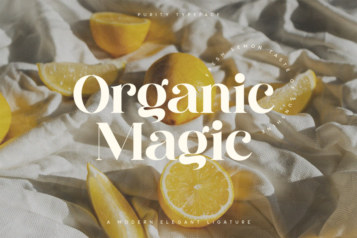 Purity - Modern Ligature Font, a Serif Font by TypeFounder