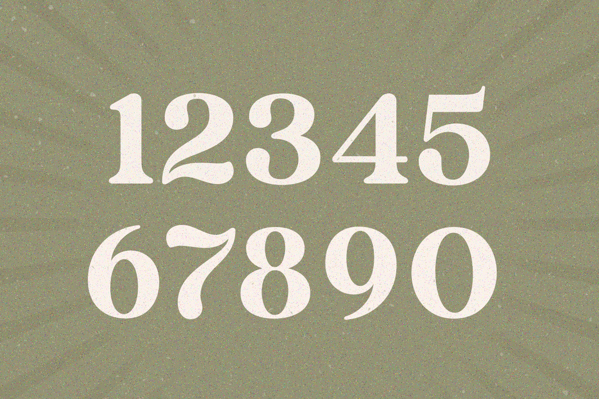 Vintage - Retro Serif Font, a Serif Font by Sensatype