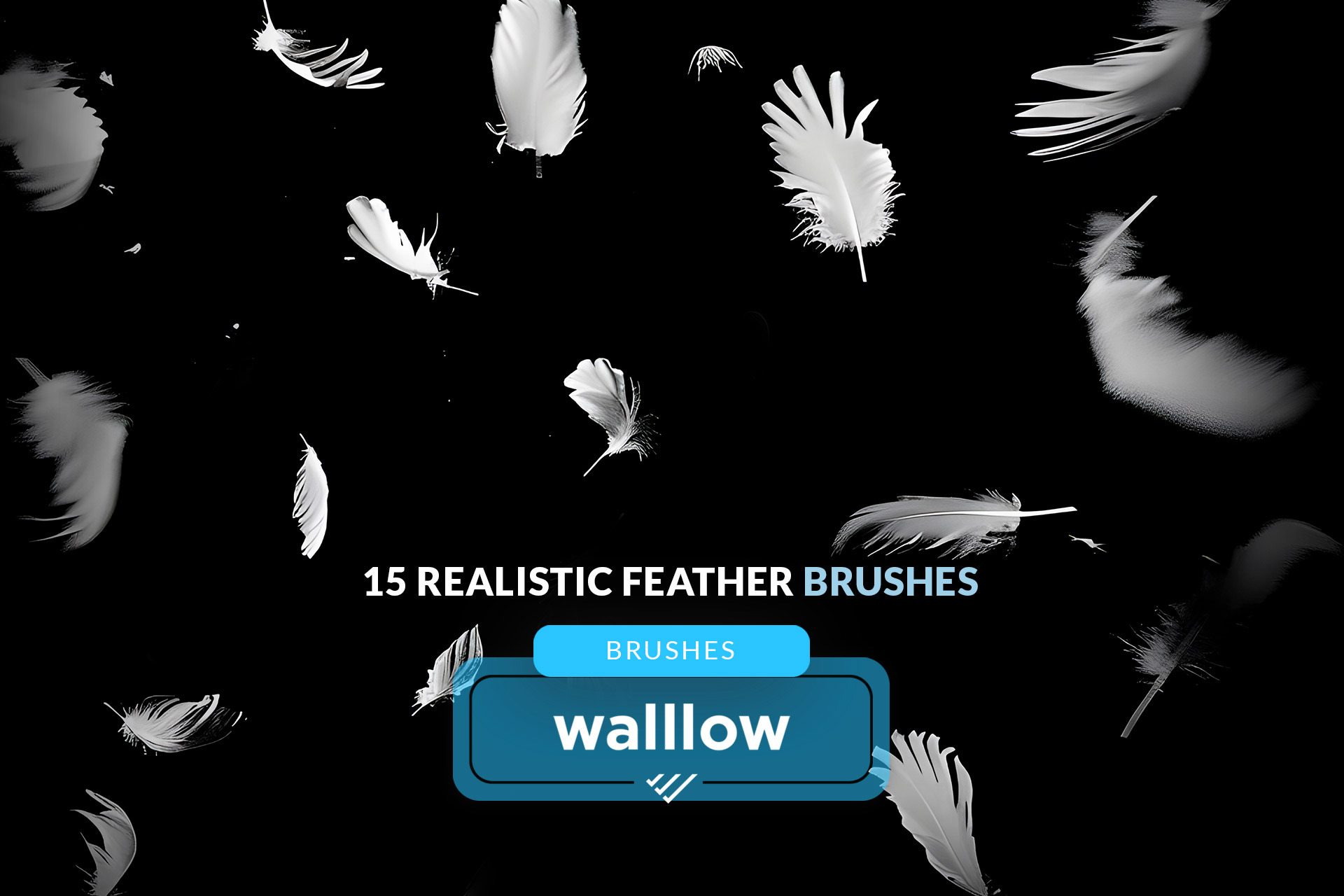 Realistic Feathers photoshop brushes, a Brush Add-On by Walllow Creatives