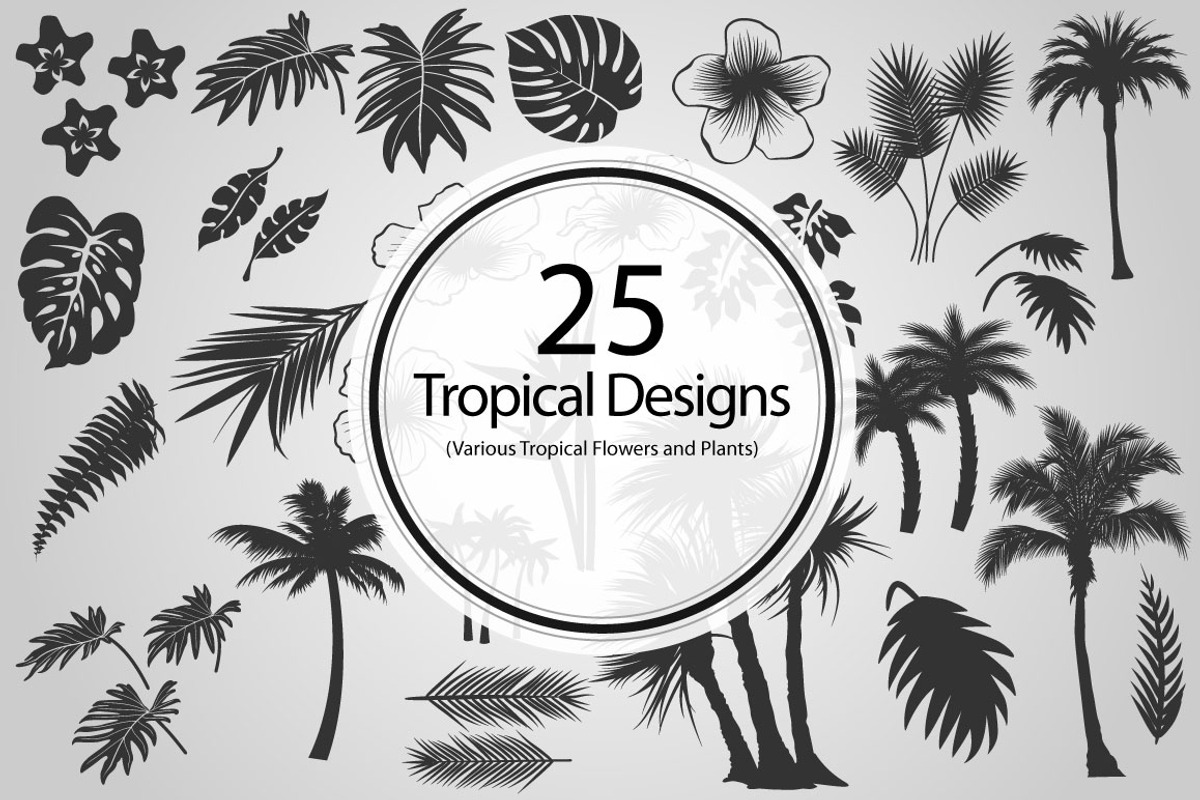 25 Tropical Designs (Vector), an Object Graphic by BIOWORKZ