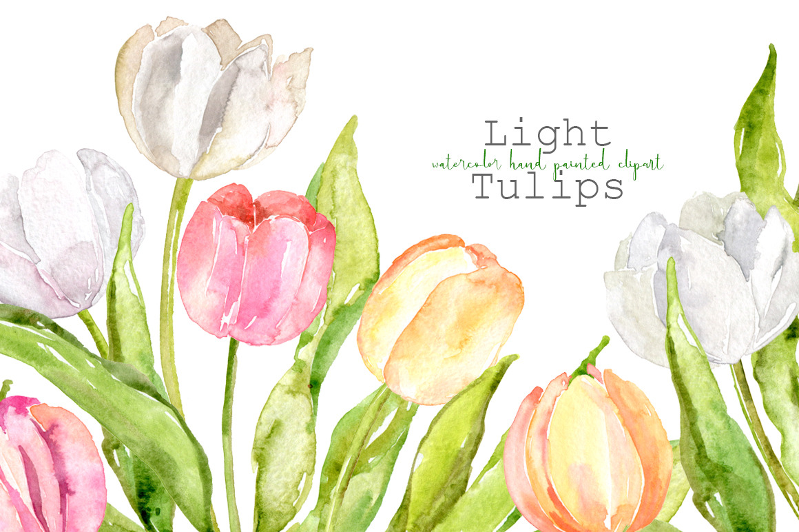 Watercolor Tulips Flowers, an Illustration by GraphicsDish
