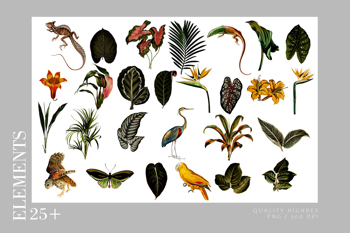 Subdued Tropical Prints, a Wallpaper Graphic by Luiz da Rolt Grathwohl