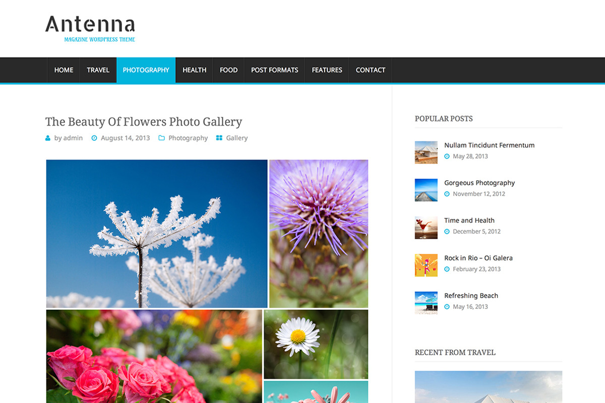 Antenna Magazine Theme, a WordPress Template by DesignOrbital