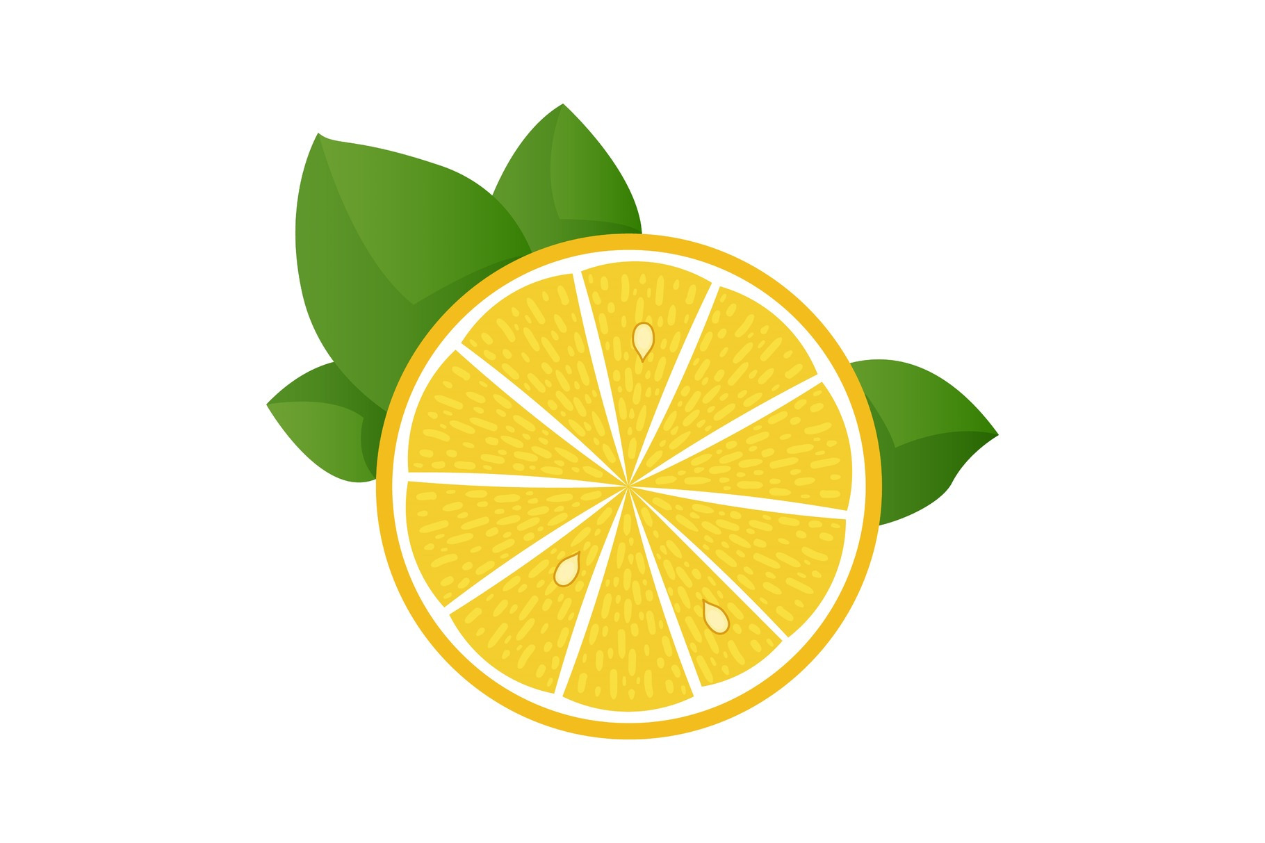 Lemon slice vector illustration on, a Food Illustration by the8monkey