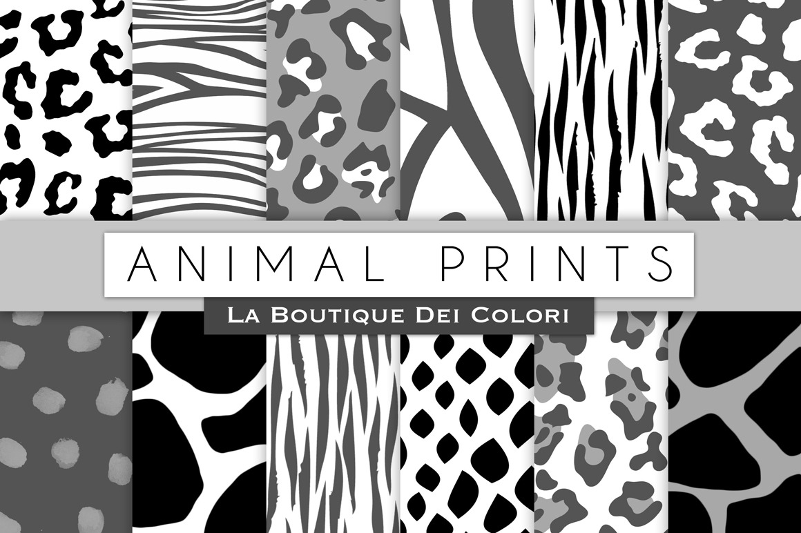 Black & White Animal Prints Papers, a Pattern Graphic by La Boutique ...