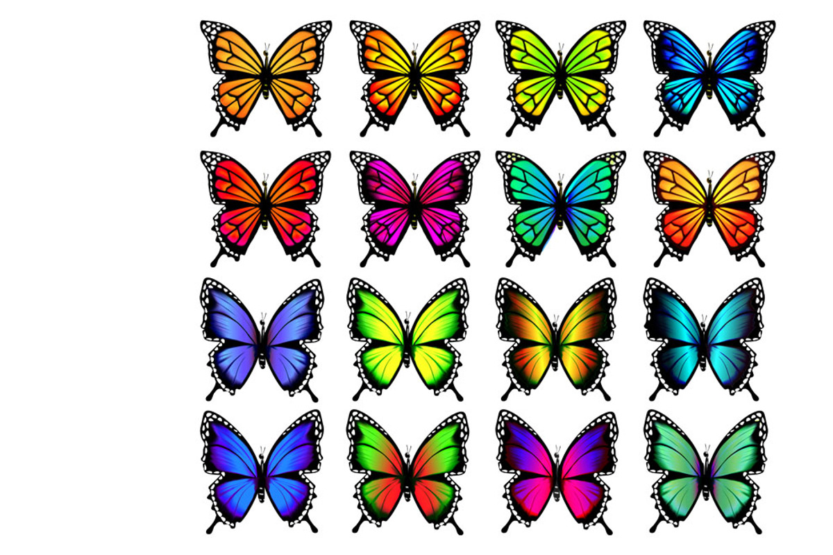 Group of Colorful Butterflies., an Animal Illustration by ecco | Creative Market