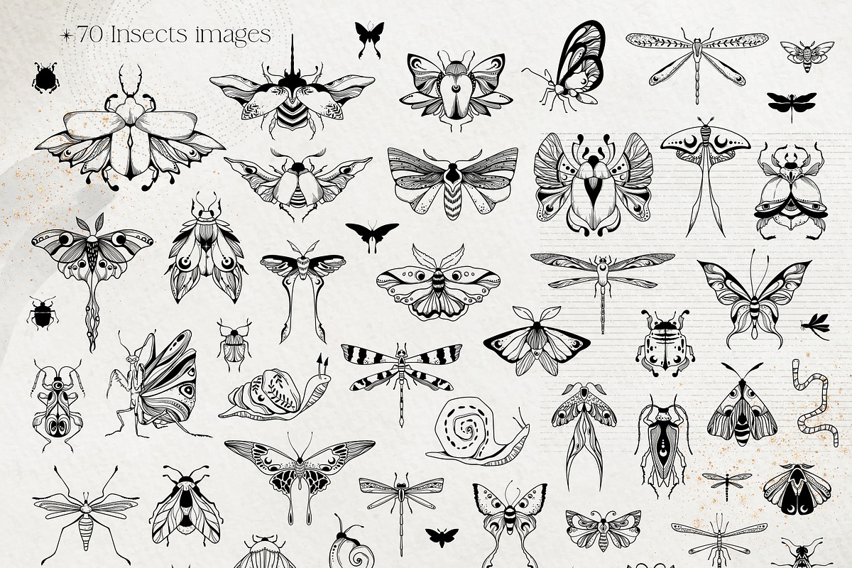 Mystic Insects vector graphic kit, a Decorative Illustration by My Space Garden | Creative Market