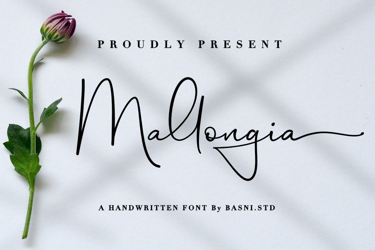 Mallongia a Handwritten Font, a Script Font by Basnistudio | Creative ...