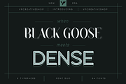When BlackGoose meets Dense 64 fonts