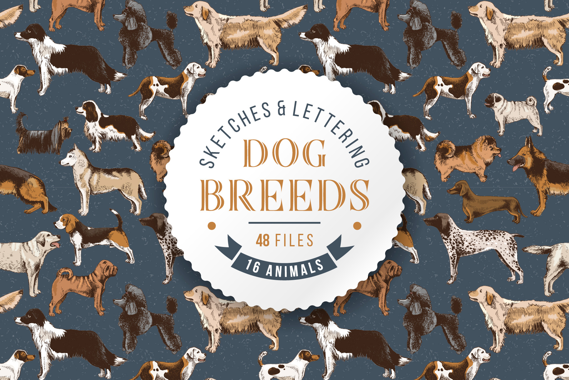 Dog breeds - sketches & lettering, an Animal Illustration by handsketched