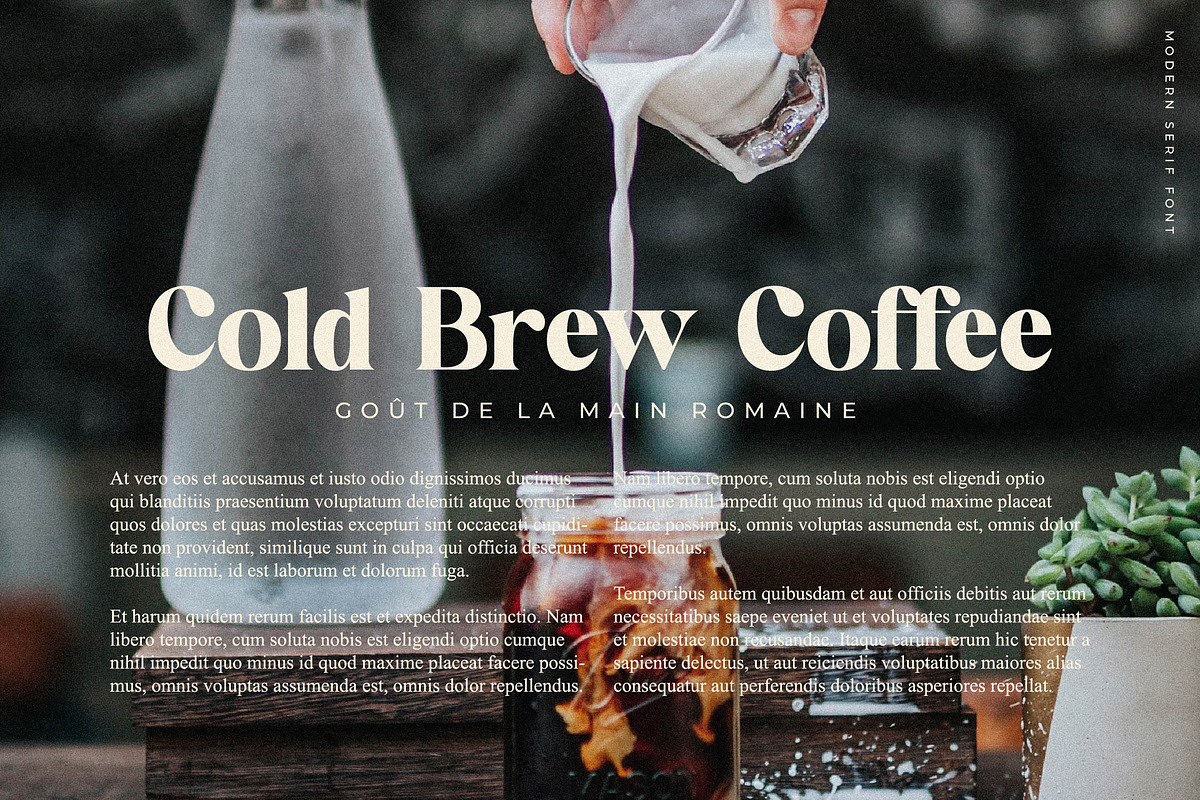 Minal Modern Serif Font, a Serif Font by Storytype Studio | Creative Market