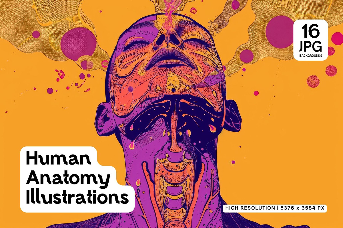 16 Human Body Anatomy Illustrations, a Person Illustration by HipFonts