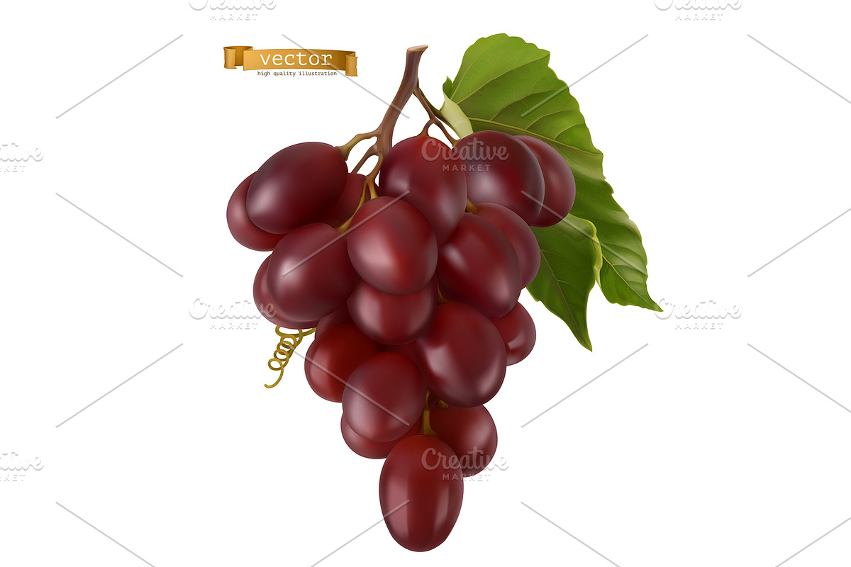 Wine grapes. Vector icon set, a Food Illustration by Allevinatis Studio ...