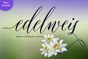 Edelweis Script, a Script Font by joelmaker | Creative Market